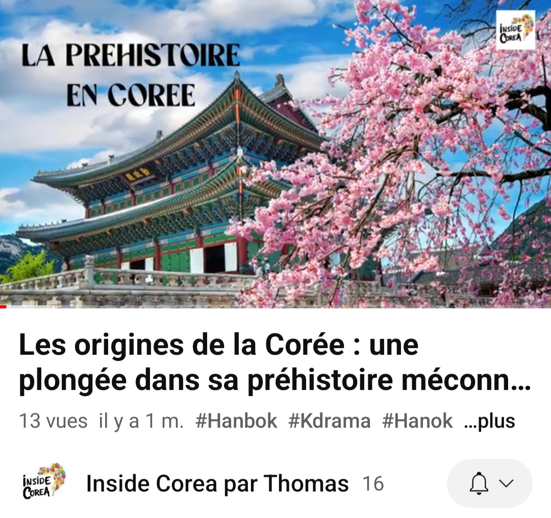 Les petites vidéos de Thomas n°2 - Inside Corea